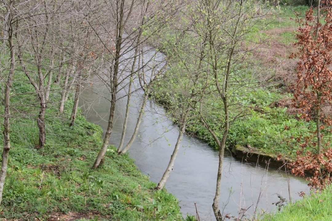 Igreja/Ambiente: Palmela acolhe o II encontro nacional do Movimento ...