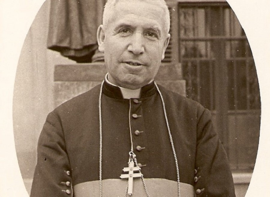 Évora: Sítio na internet permite conhecer vida e obra de D. Manuel ...