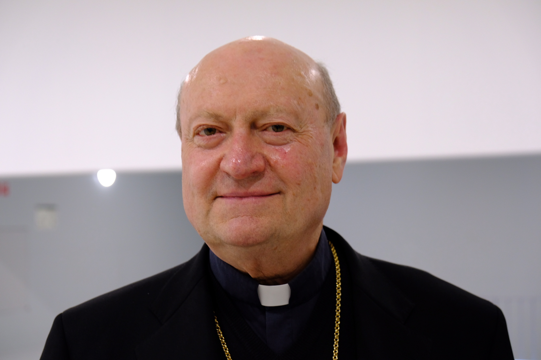Cultura: Igreja Católica tem de ser «pedra no sapato» da ...