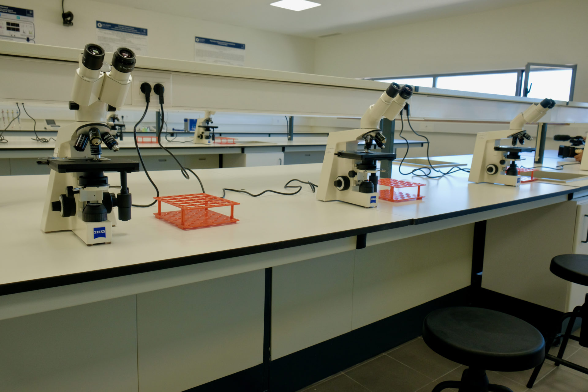 UCP: Nova Faculdade assumiu missão de mudar ensino da Medicina em ...