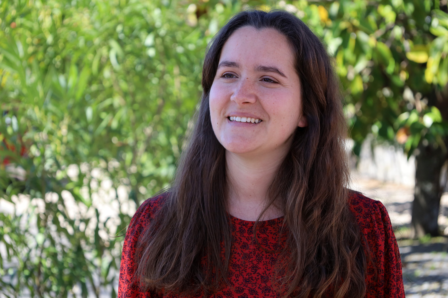 Do grupo «FigoMaduro» ao trabalho a solo «No Monte», Luísa Vidal ...